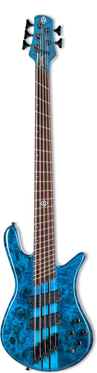 Spector NS Dimension 5 MS 5 String Bass - Black and Blue Gloss – Skip's ...